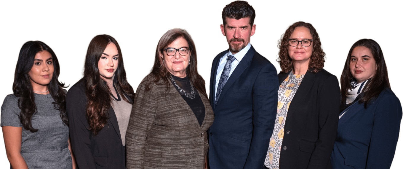 Attorney Andrea Lyon